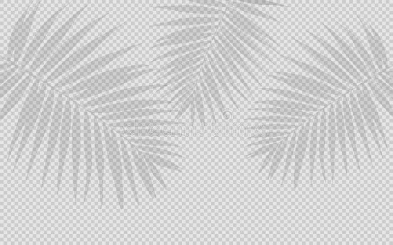 Transparent Shadow Effects. Vector with Shadows on a Transparent ...