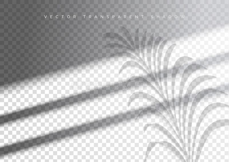 The Transparent Shadow Overlay Effect. Tropic Leaf Stock Vector ... The Transparent Shadow Overlay Effect. Tropic Leaf Stock Vector ...