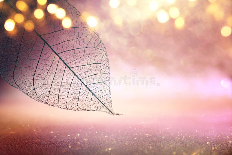 Transparent Skeleton Leaves Over Bright Abstract Background Stock Photo ...