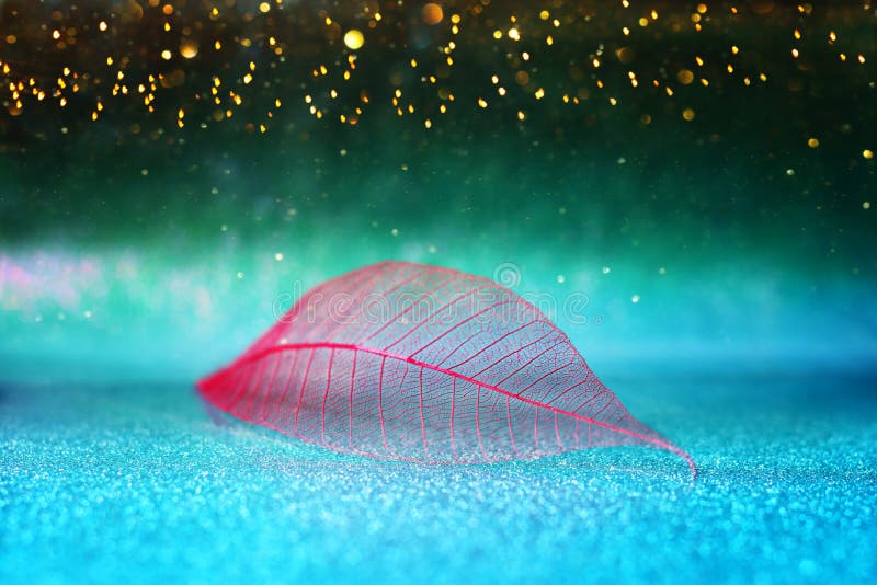 Transparent Skeleton Leaves Over Bright Abstract Background Stock Photo ...