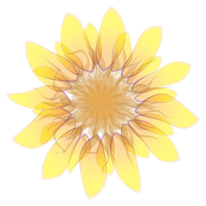 Transparent sunflower stock vector. Illustration of pattern - 19553881