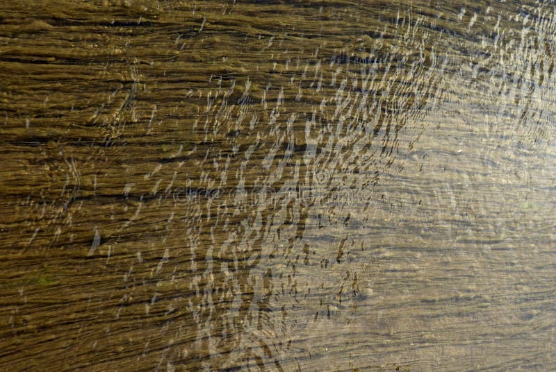 Transparent Surface of Creek Water Stock Photo - Image of river, small ...