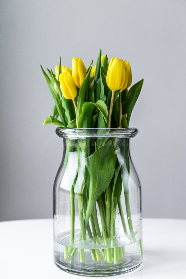 Transparent Vase with Yellow Tulips on a Gray Background. Side View ...