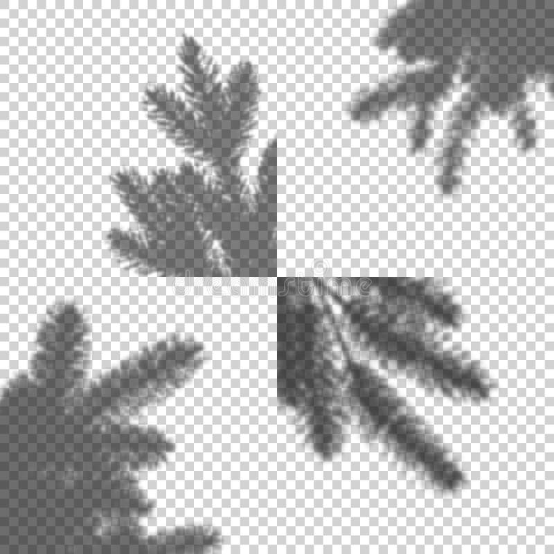 Shadow of Christmas Tree. Education Game for Preschool Kids Stock ...