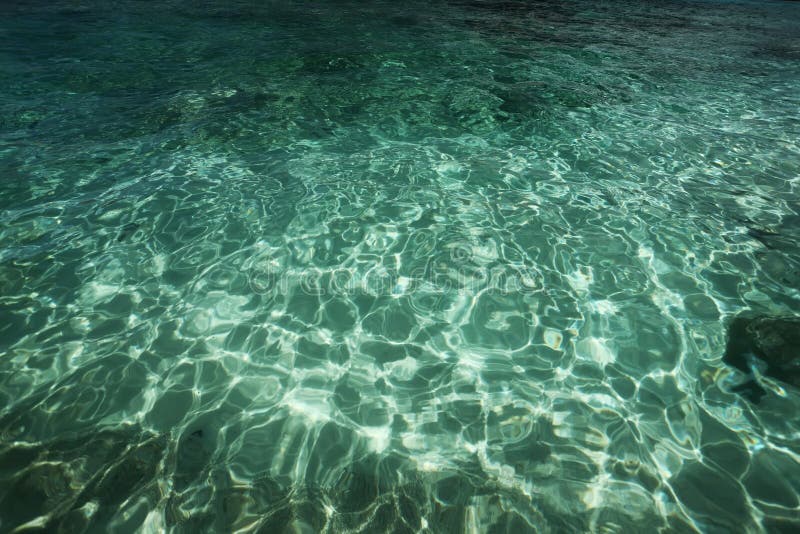 Transparent Water of Ocean. Stock Image - Image of green, deep: 12376223