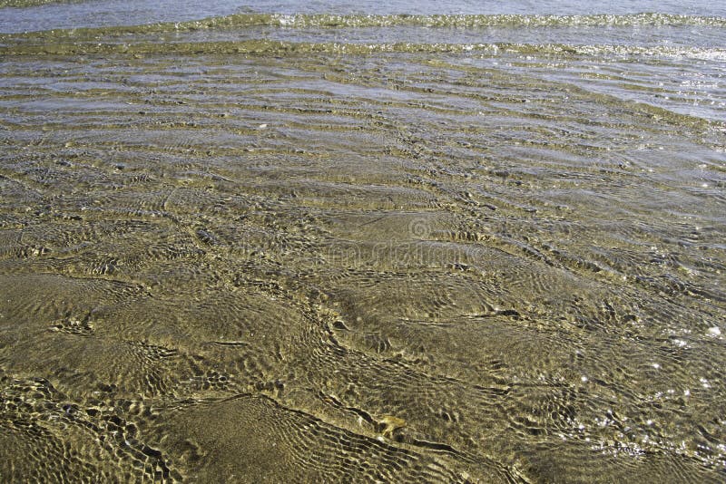 Transparent Water on the Shore of a Beach with Sea Shells. Background ...