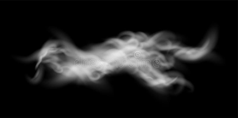 Transparent White Vector Fog Stock Vector - Illustration of isolated ...