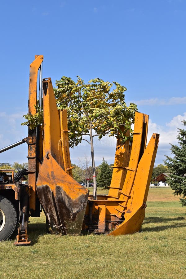 Transplanting a Tree with a Portable Mounted Machine Stock Image ...