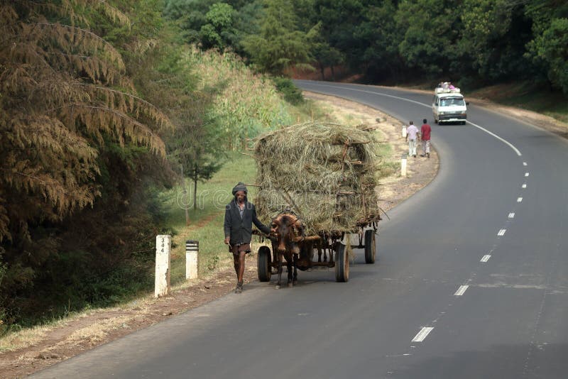 Transport by Horse-drawn Carriage in Ethiopia Editorial Photography ...