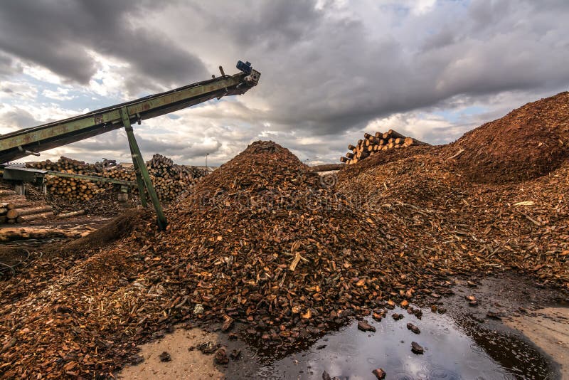 Transport of Pine Logs in a Sawmill for Processing and Pellet ...