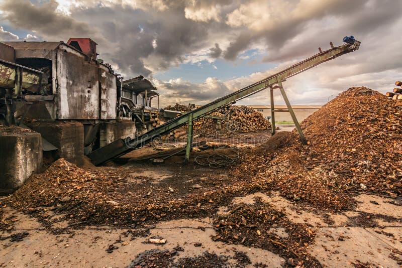 Transport of Pine Logs in a Sawmill for Processing and Pellet ...