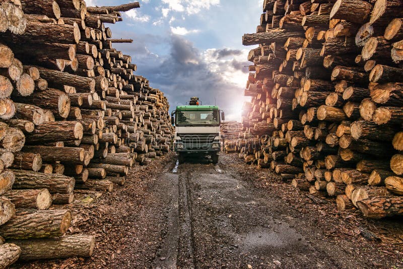 Timber by the Truckload stock photo. Image of lumberjacking - 253164