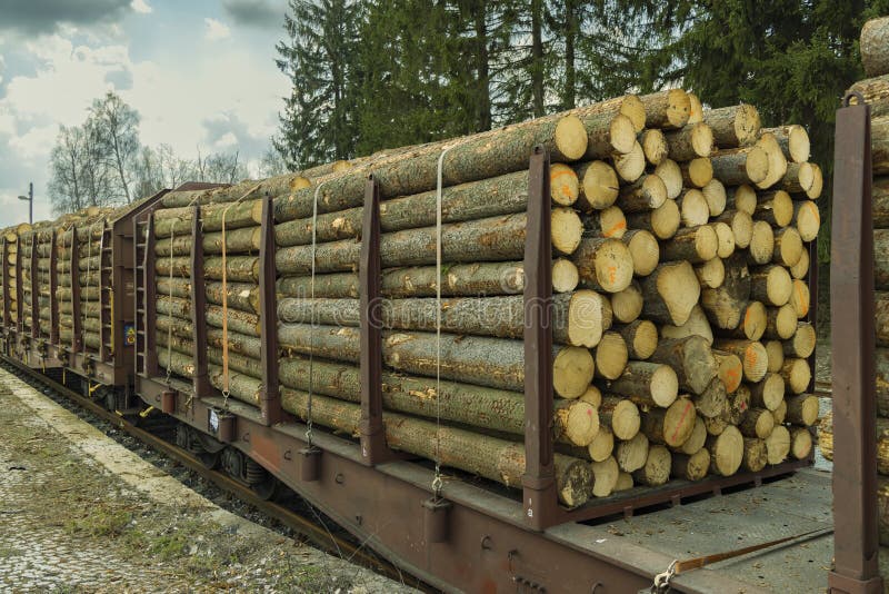 Transport of Timber on Railway Wagons Stock Photo - Image of track ...