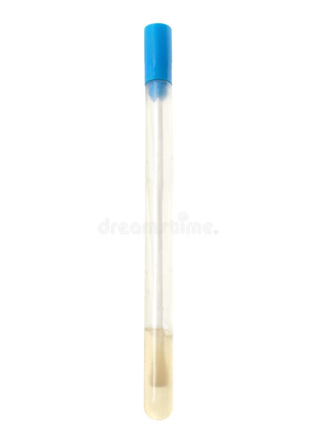 Transport Tube with Applicator Stock Image - Image of health ...