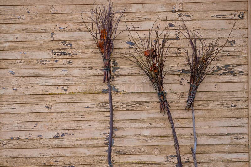 Transport for witch stock image. Image of background - 82746967