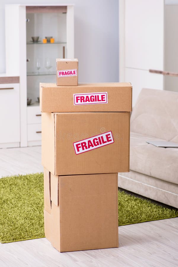 Loving Family Packing Boxes Stock Image - Image of excited, family ...