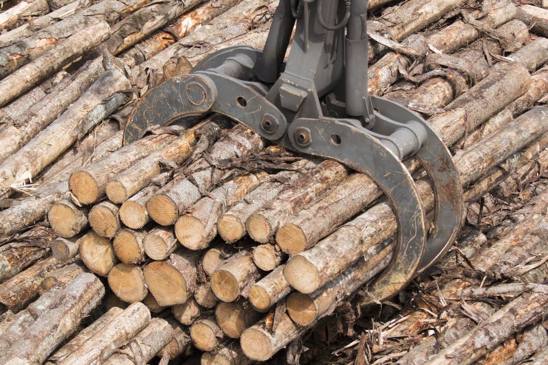 Transportation of logs stock photo. Image of lumber, circle - 98405920
