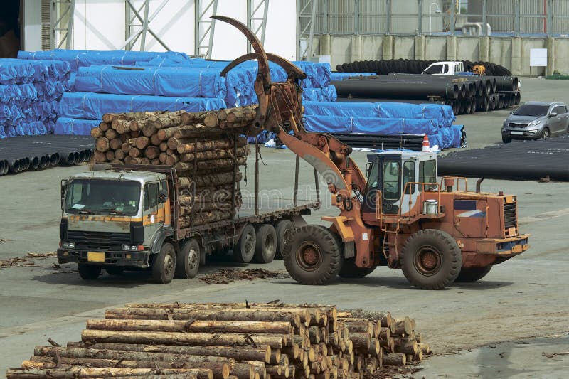 Transportation of logs stock photo. Image of hardwood - 98406072