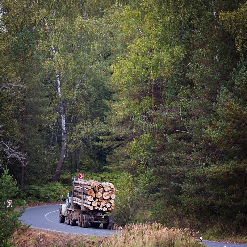 Transportation of Logs Prepared on Forest Road Stock Image - Image of ...