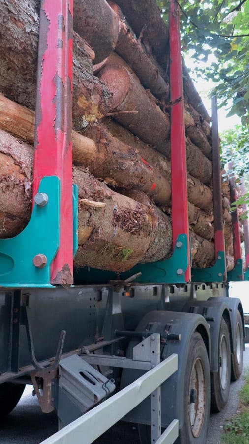 Wood transport stock photo. Image of strains, deforestation - 45103016