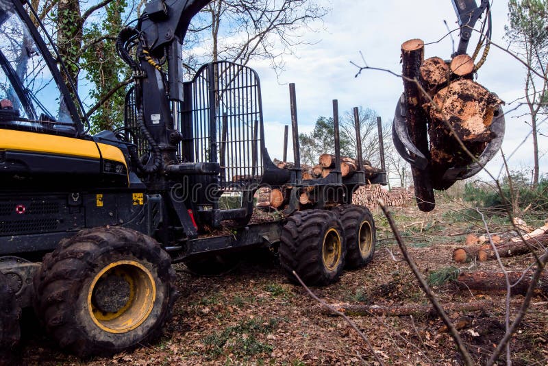 All-terrain Forestry Forwarder for Handling and Transporting Tree ...