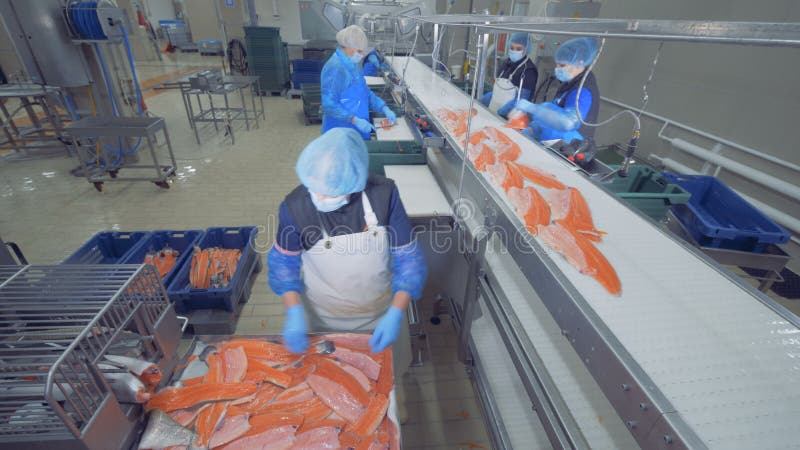 Slicing Mechanism Stock Footage & Videos - 45 Stock Videos