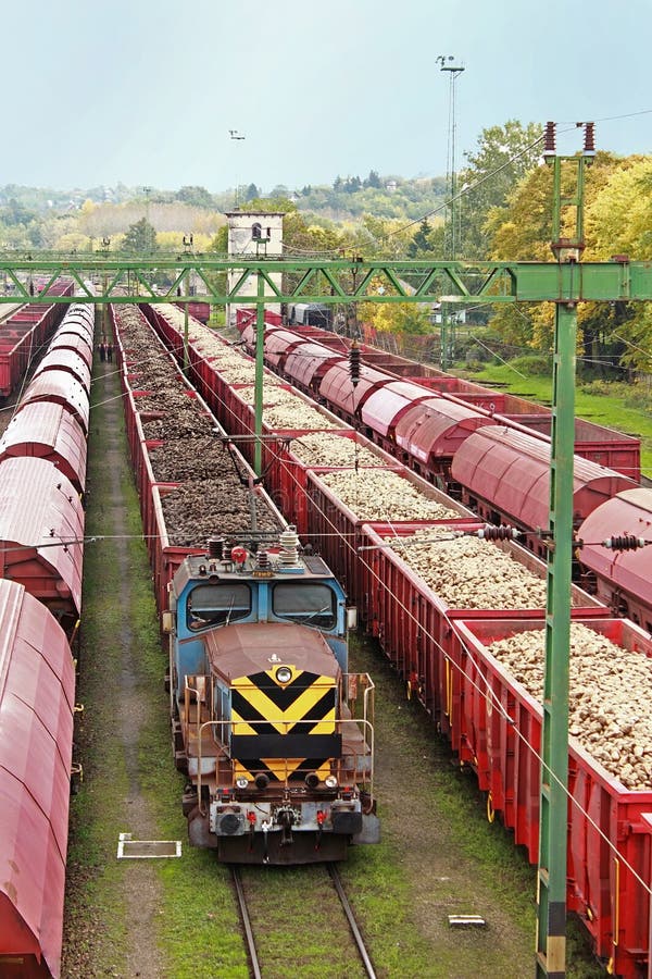 516 Transporting Products Stock Photos - Free & Royalty-Free Stock ...