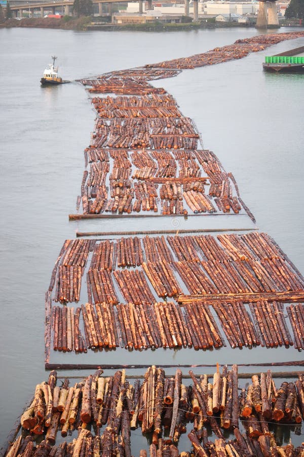 Transporting Raw Logs on River Stock Image - Image of outside, forestry ...