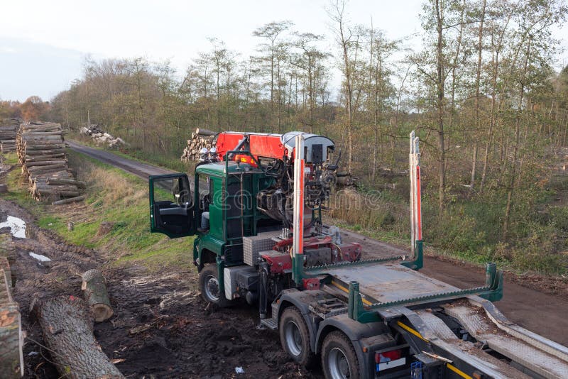 Transporting from Tree Trunks with a Truck with Crane Stock Photo ...