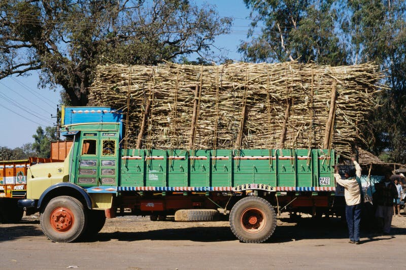 Indian Sugarcane Transportation on Truck India Editorial Stock Image ...