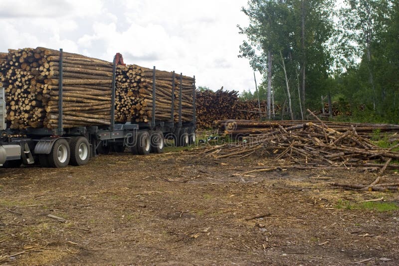 Transporting wood stock image. Image of transportation - 5984345
