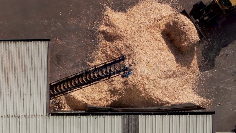 Transporting Wood Chips with Conveyor and Loader at Sawmill Stock ...