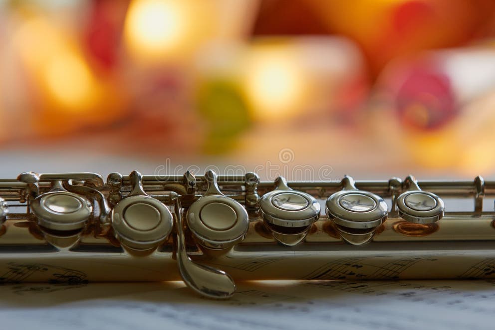 Transverse Flute stock photo. Image of flute, artistic - 43776096
