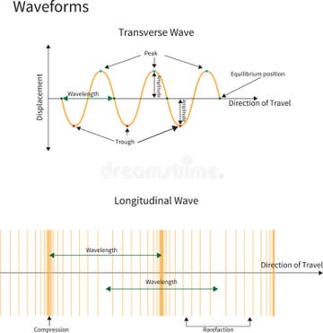 Transverse Wave Stock Illustrations – 252 Transverse Wave Stock ...