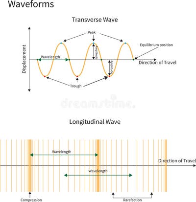 Transverse Wave Stock Illustrations – 235 Transverse Wave Stock ...