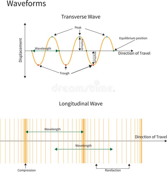 Transverse Wave Stock Illustrations – 252 Transverse Wave Stock ...