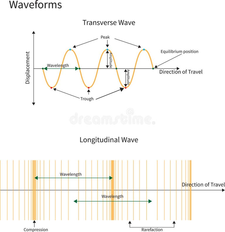 Transverse Wave Stock Illustrations – 252 Transverse Wave Stock ...