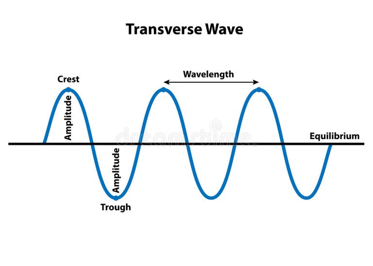 Transverse Wave Stock Illustrations – 252 Transverse Wave Stock ...