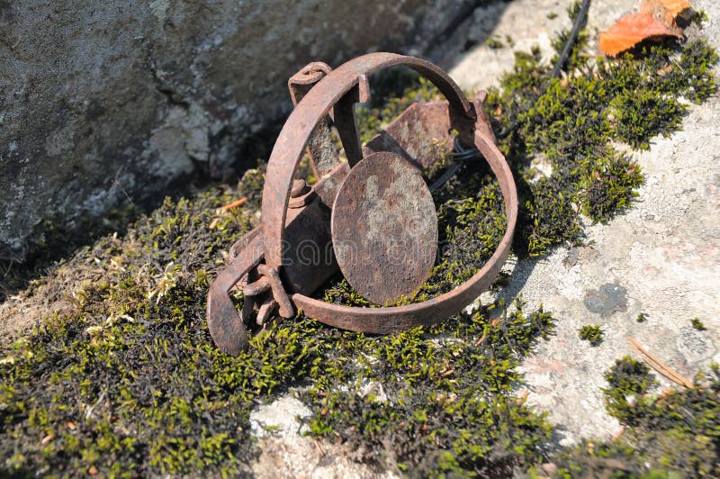 Old Rusty Hunting Trap Stock Photos - Free & Royalty-Free Stock Photos ...