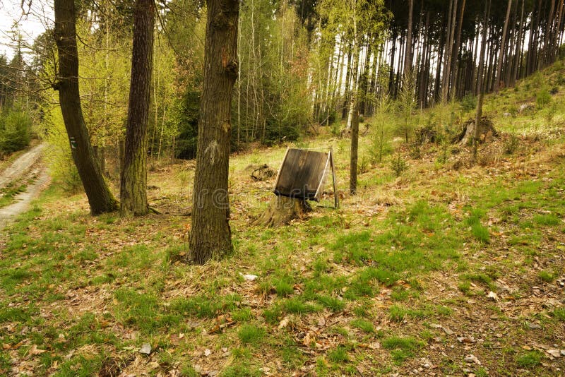 Forest protection ecology stock image. Image of tree - 86391011