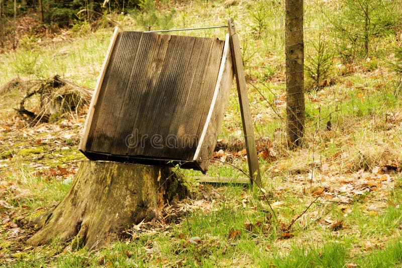 Forest protection ecology stock photo. Image of preservation - 86391578