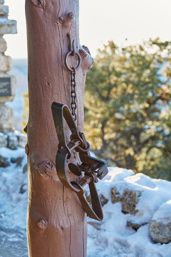 Vintage Bear Trap Stock Photos - Free & Royalty-Free Stock Photos from ...