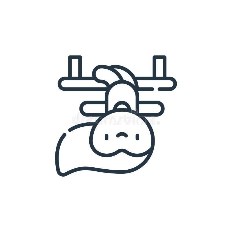 Trapeze Artist Vector Icon Isolated on White Background. Outline, Thin ...