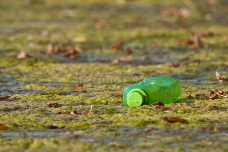 Trash stock image. Image of ecotoxic, green, relationship - 22285729