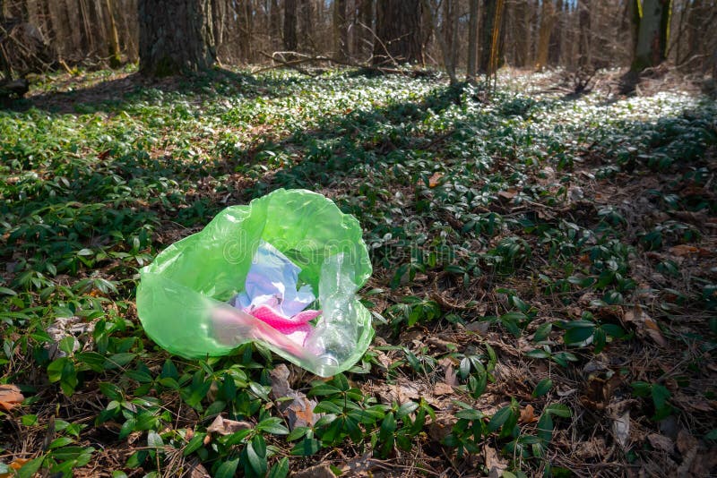 Forest Debris and Garbage Caught in a Tree from Recent Flooding of Nine ...