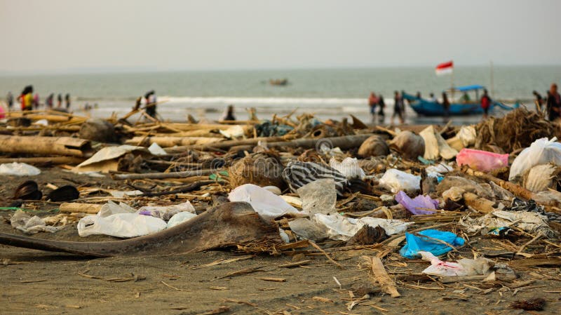 Trash on the Beach: Beachfront Litter Polluting the Coastline ...