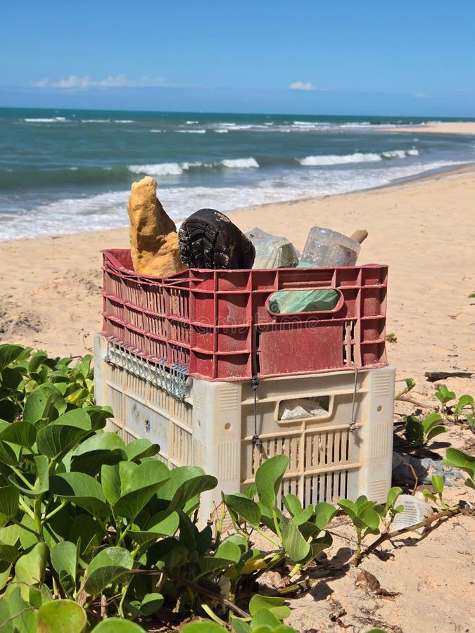 545 Trash Beach Plastic Box Stock Photos - Free & Royalty-Free Stock ...