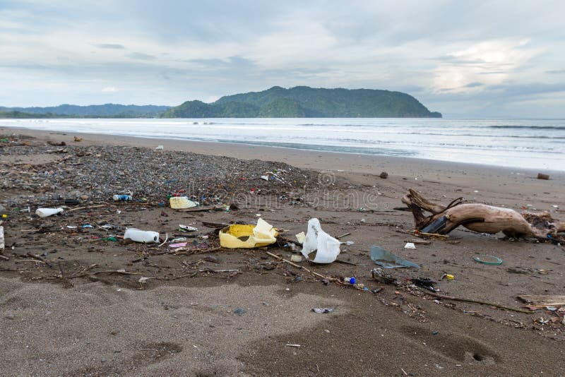 Trash on the beach stock image. Image of responsible - 79703029