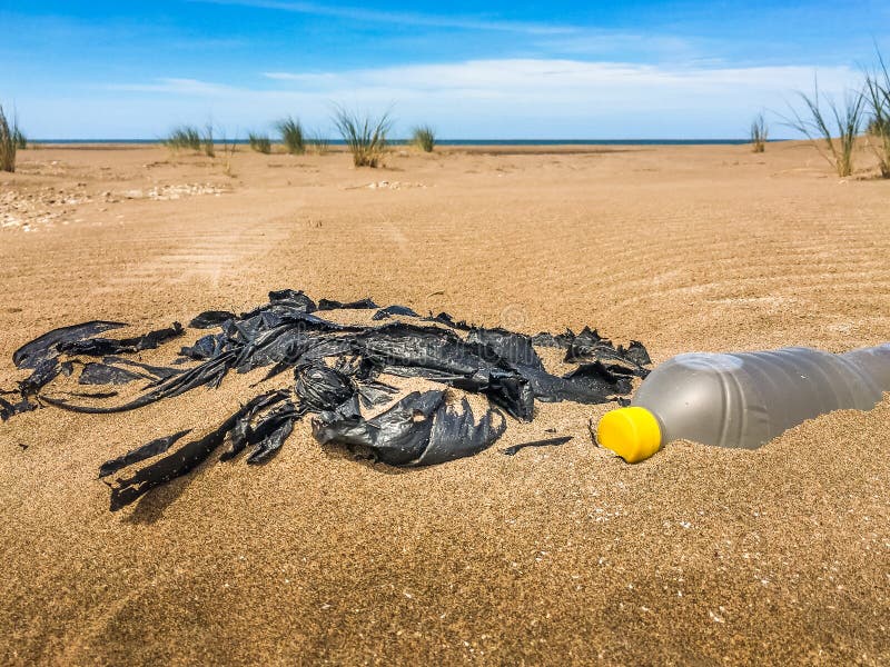 Trash on the beach stock image. Image of industry, beach - 145053309