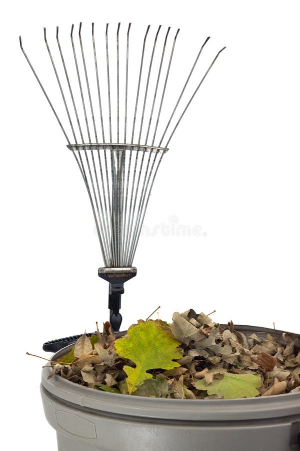 Trash Bin, Dry Leaves and Rake Stock Photo - Image of horizontal, fall ...